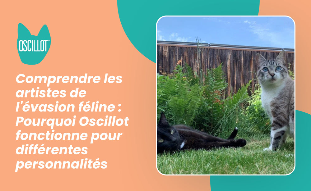 Comprendre les artistes de l'évasion féline : Pourquoi Oscillot foncti ...