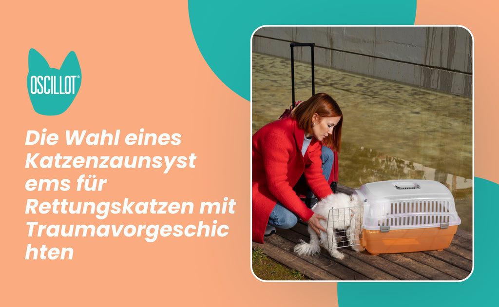 Die Wahl eines Katzenzaunsystems für Rettungskatzen mit Traumavorgesch ...