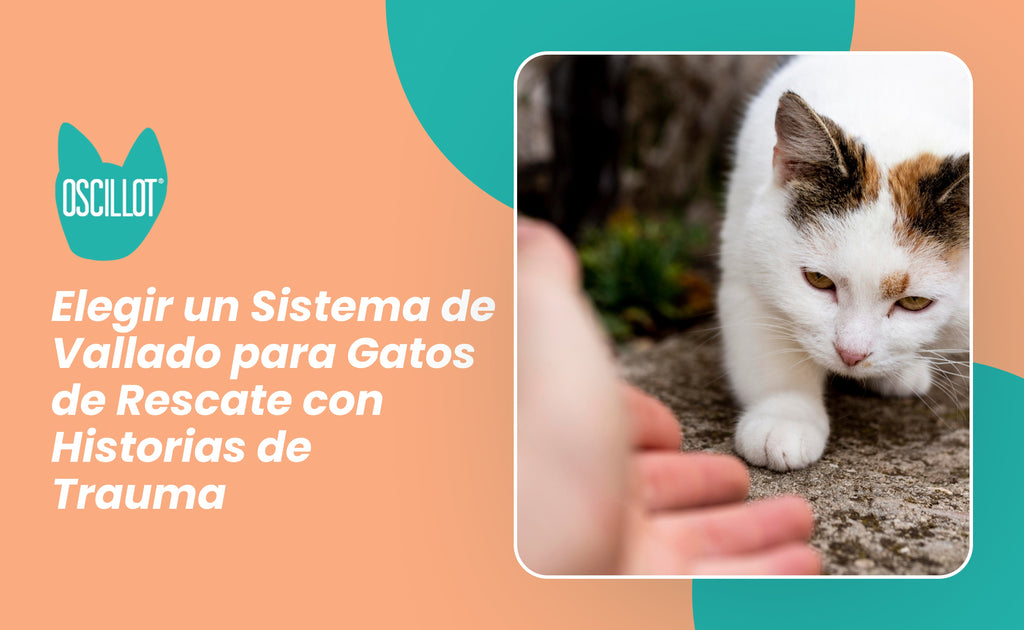 Elegir un Sistema de Vallado para Gatos de Rescate con Historias de Tr ...