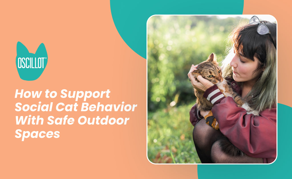 How to Support Social Cat Behavior With Safe Outdoor Spaces | Oscillot ...