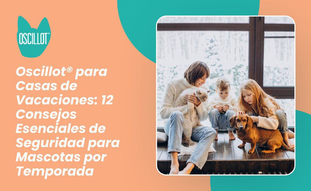 Oscillot® para Casas de Vacaciones: 12 Consejos Esenciales de Segurida ...