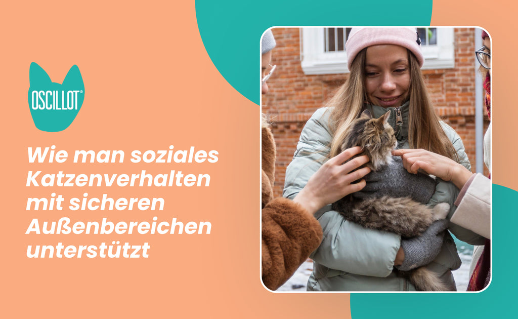 Wie man soziales Katzenverhalten mit sicheren Außenbereichen unterstüt ...
